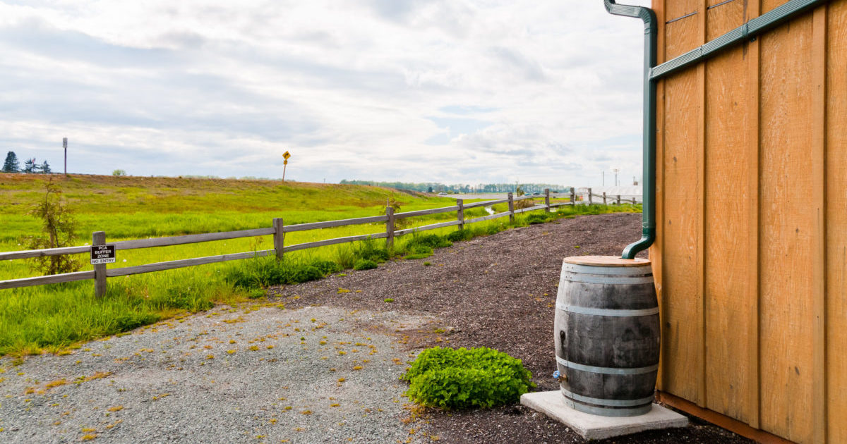 Urban Farm: Managing Water Smartly with Rain Barrels