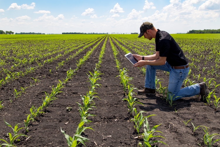 Farming Innovations | Illinois Farm Families